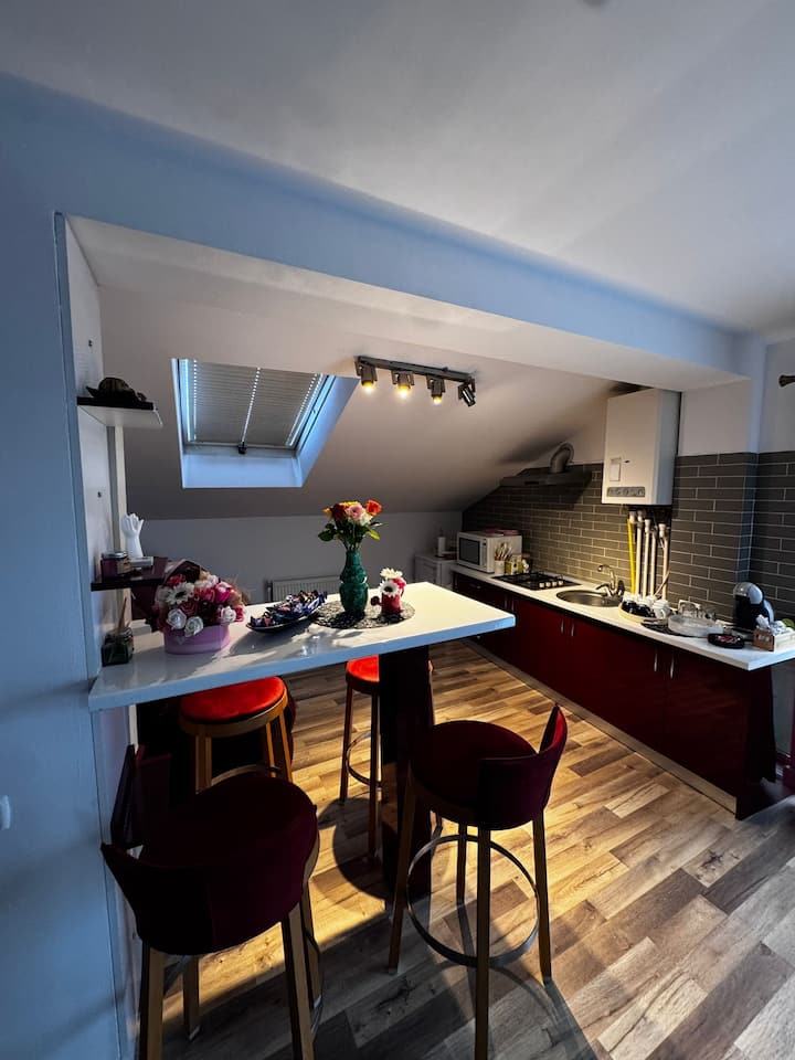 Mansarda Lu' Ion - Agapia