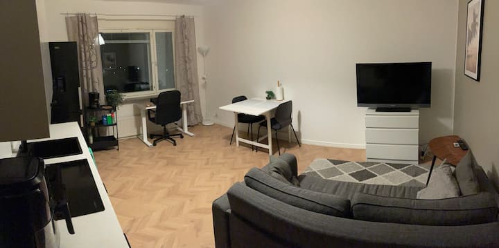 Nordic Experience / Direct Bus To Center & Airport - Sipoo