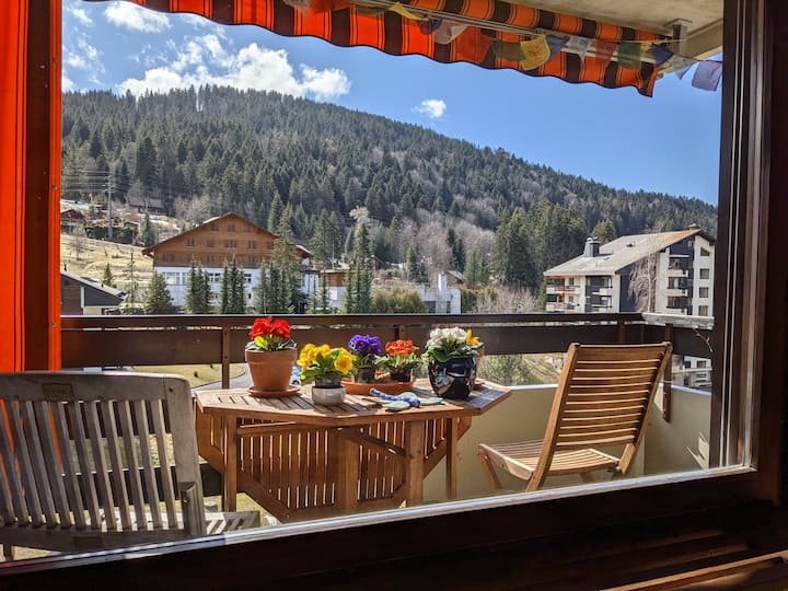 Cocon Calme Et Ensoleillé Avec Magnifique Vue - Montreux