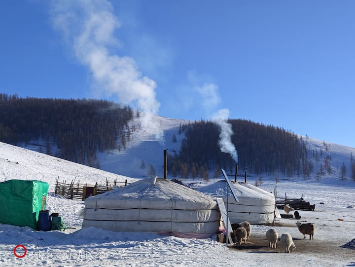 Nomadic Home Stay - China