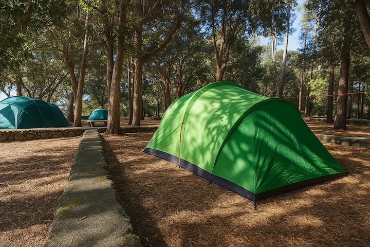 My Volcanic Wheels - Car For Camping - Horta