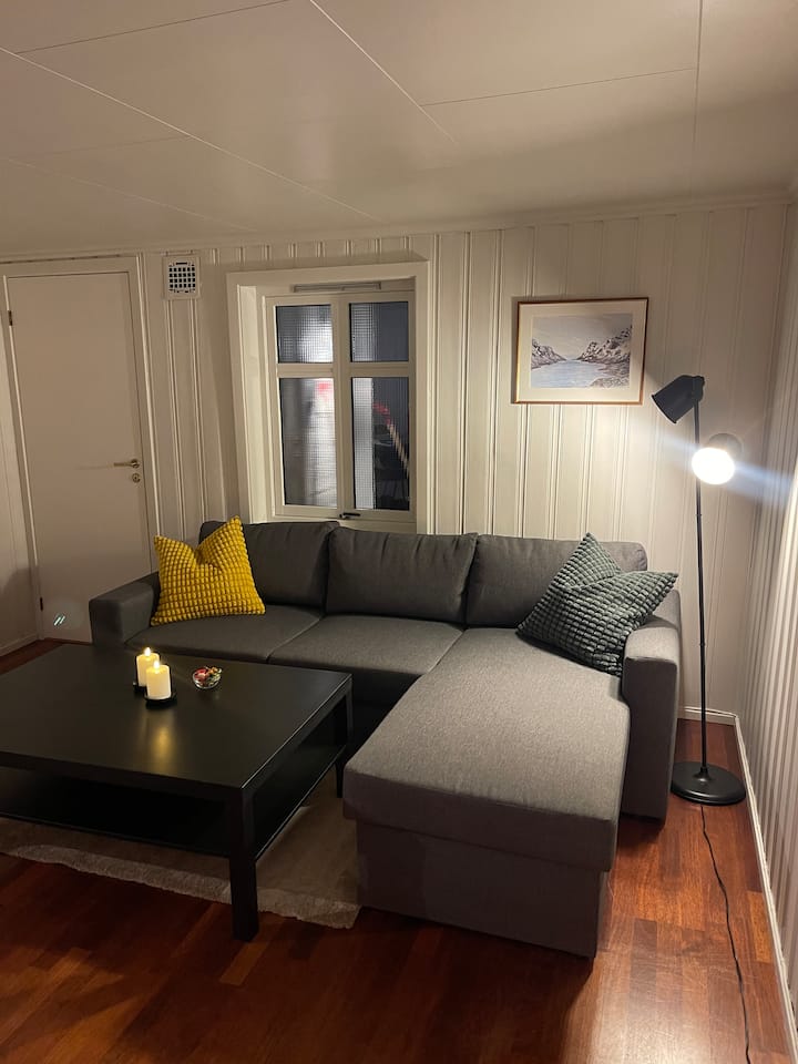 Sjarmerende Leilighet I Hjerte Av Tromsø Sentrum - Tromsø