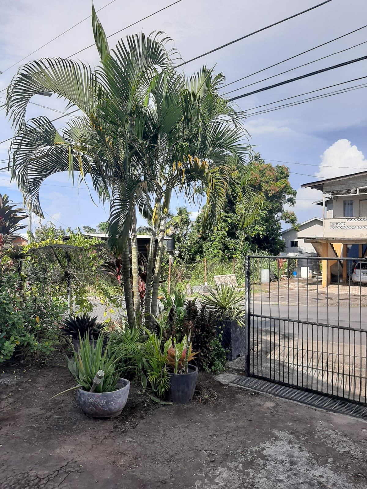 Alexander Apartments Point Fortin - Flats for Rent in Point Fortin ...