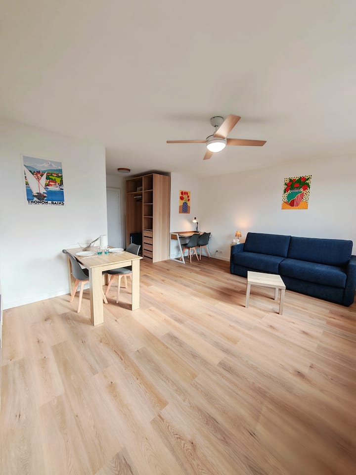 Le Petit Central à 2 Pas Du Port & Des Animations - Thonon-les-Bains