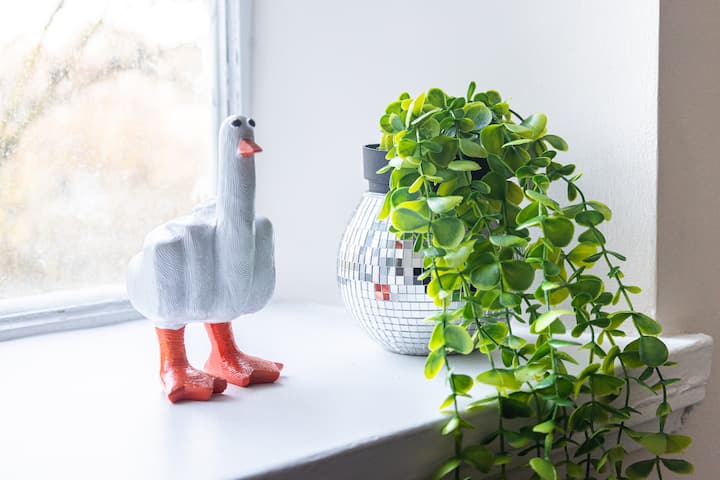 The Heart-of-brighton Hub - Brighton Marina