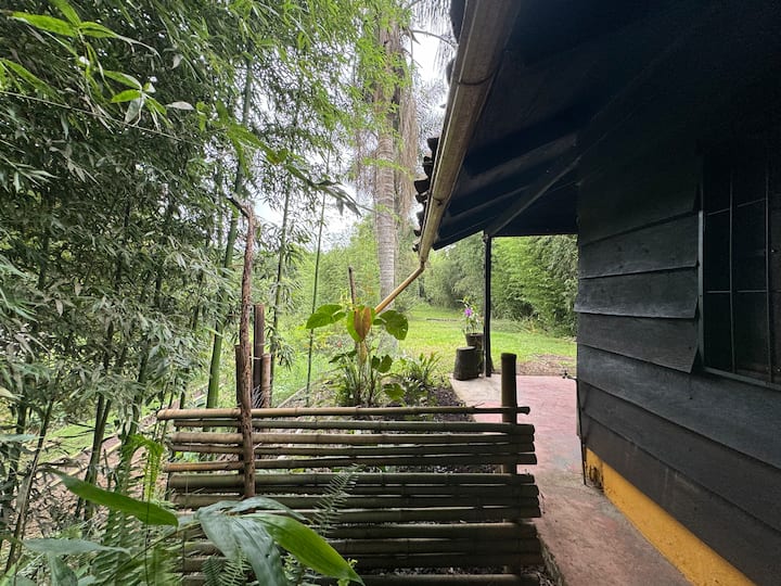 Increíbles Cabañas En Coatepec - Ideal Para 5 - Xico