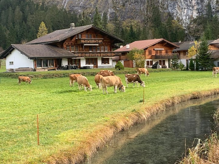 Bergkristall - Wohnung Kalzit - Adelboden