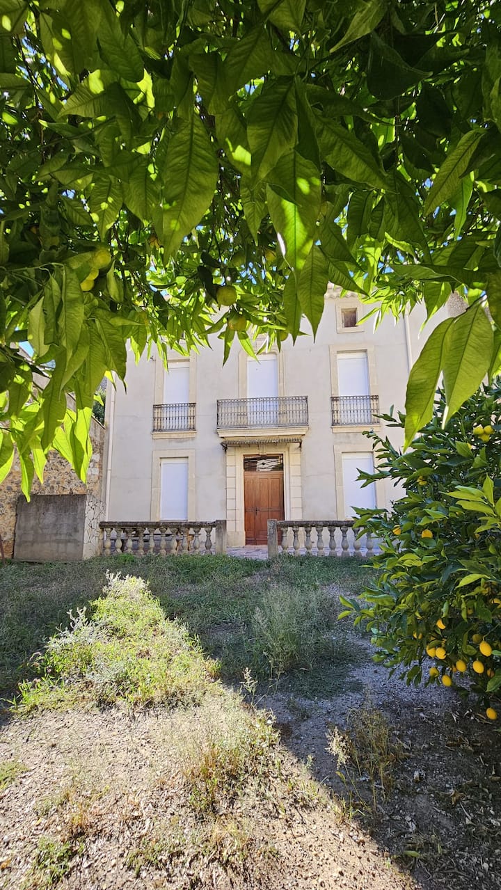 Maison Spacieuse Centre Village Cessenon-sur-orb - Roquebrun