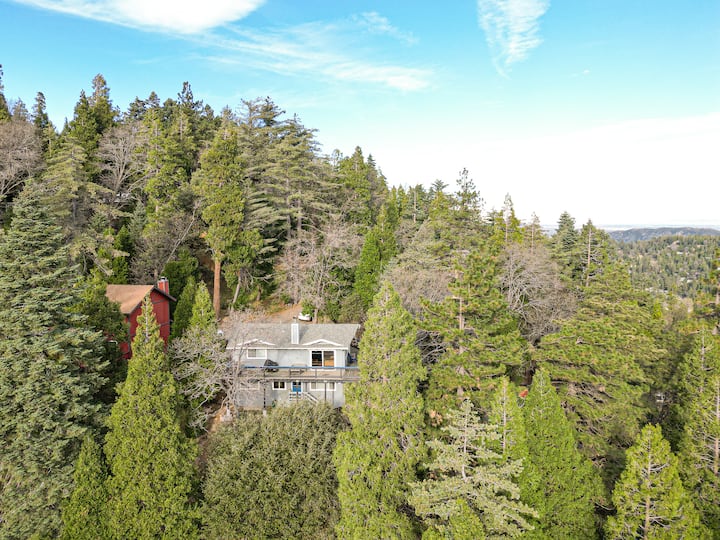 Swiss Mist Chalet | Surrounded By Pines - San Bernardino, CA
