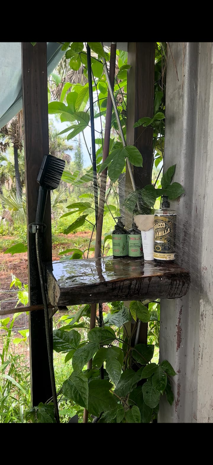 Luxury Off-grid Paradise Immersed In Nature. - Everglades, FL