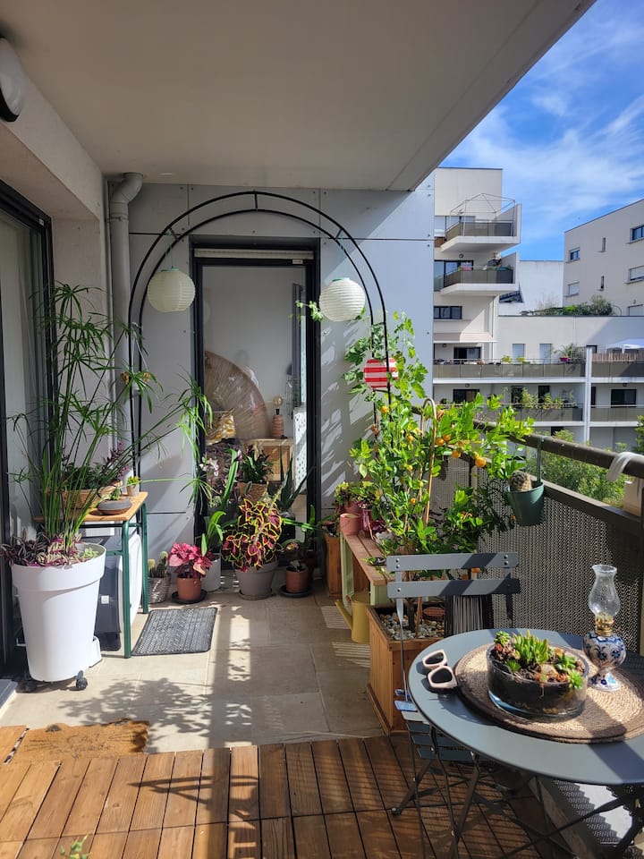 Fête Des Lumières/ Noël à Lyon - Lyon