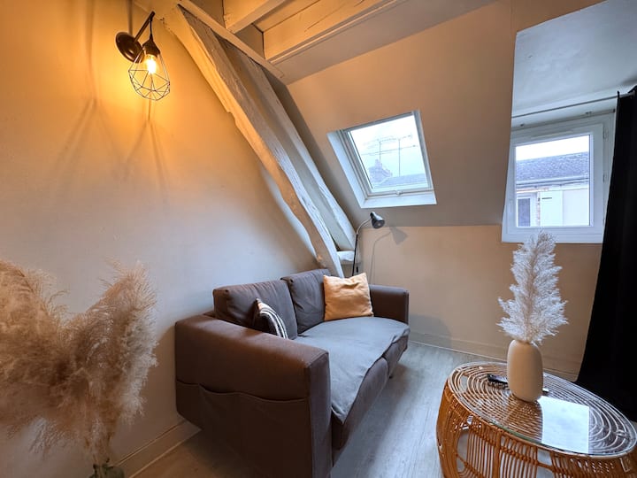 Le Cocon Delair - Studio Centre Montereau - Montereau-Fault-Yonne