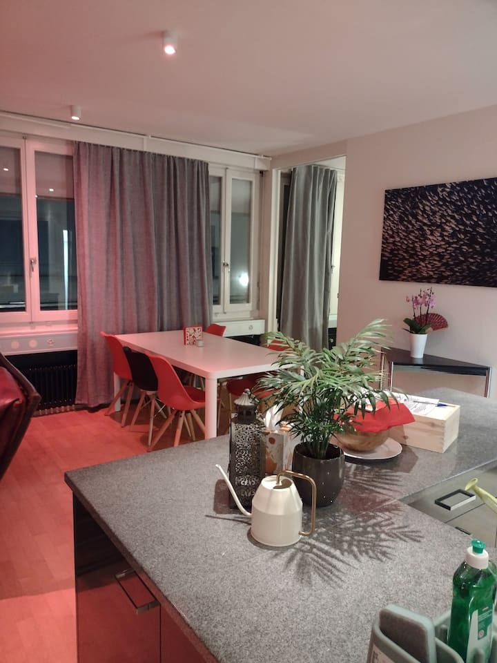 Spacious Loft In Downtown Zurich - スイス チューリッヒ