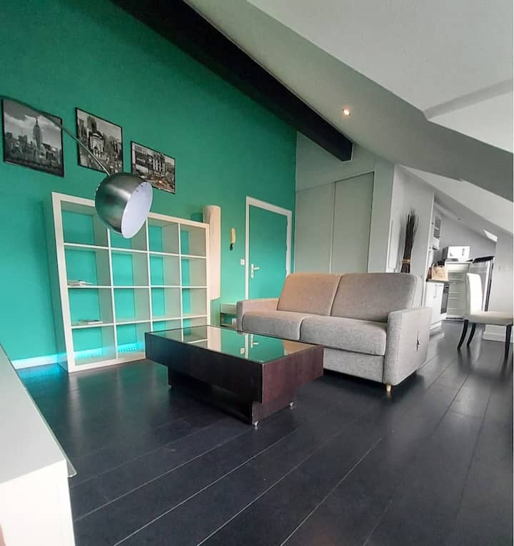 Joli Studio Avec Vue Sur Le Lac - Thonon-les-Bains