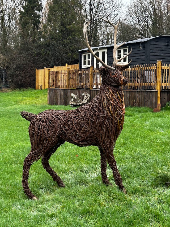 The Fox’s Den Beaminster Dorset - Bridport