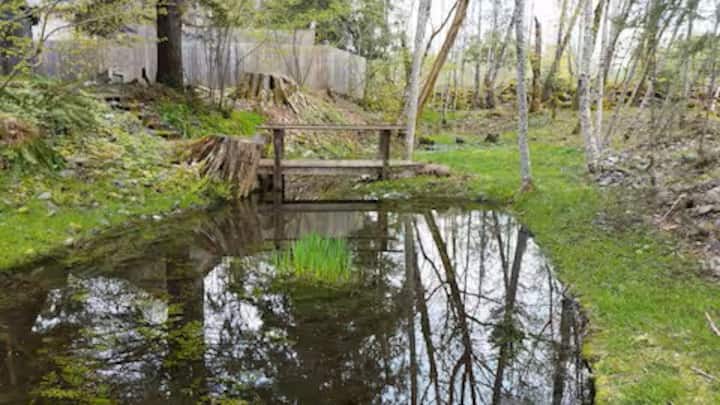 Riverfront Cabin Near Mt Rainier & White Pass - Packwood, WA