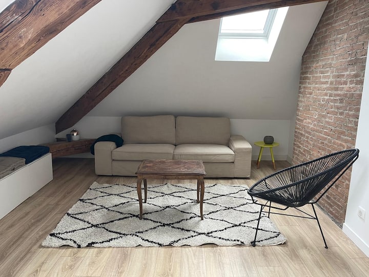 Le Nid Des Bergers - Championnet Garage, Clim A/c - Grenoble