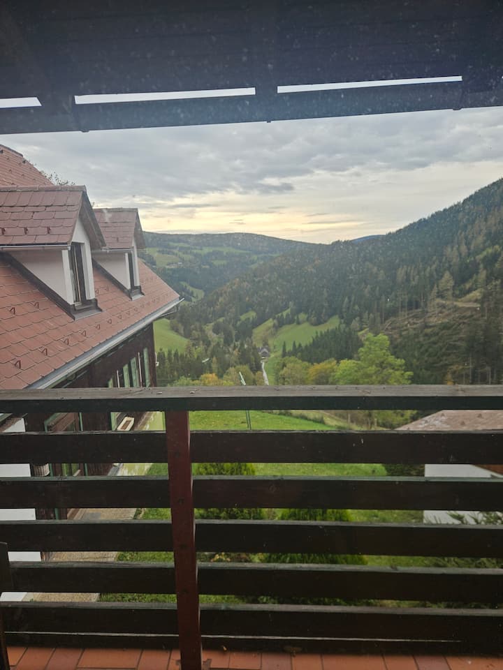 Gästehaus In Ruhiger Lage Zum Entspannen - Teichalm