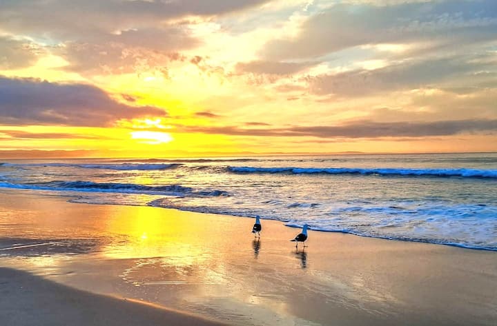 Experience Luxury Beachfront Living Jeffreys Bay - Jeffreys Bay