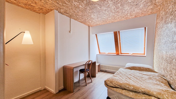 Copperroof Eco Apartments Im Herzen Von Merseburg - Leuna