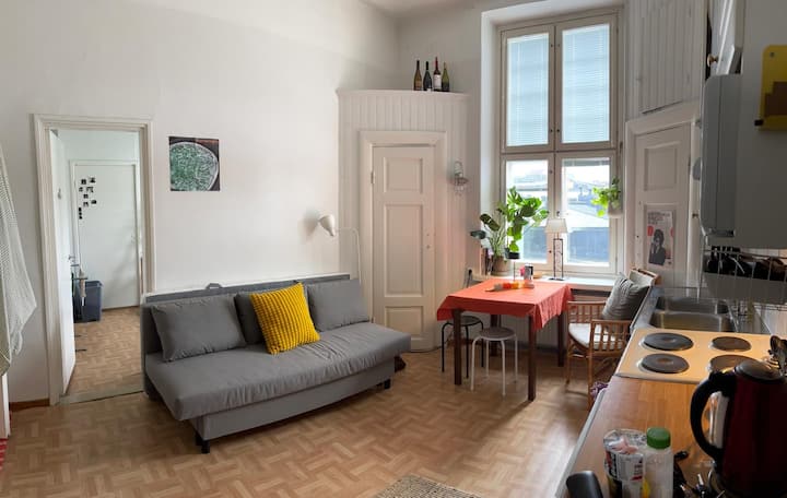 Two Room Apartment In The Center Of Helsinki - Helsinki