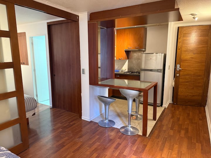 Departamento Bellas Artes, Barrio Lastarria - Independencia