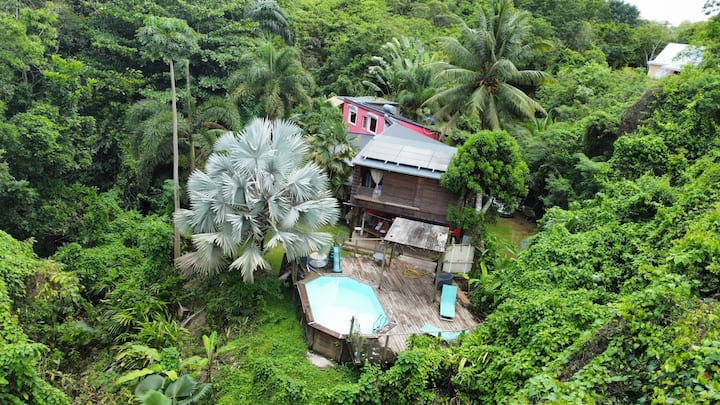 Magnifique Villa En Pleine Foret Avec Piscine - Guadalupe