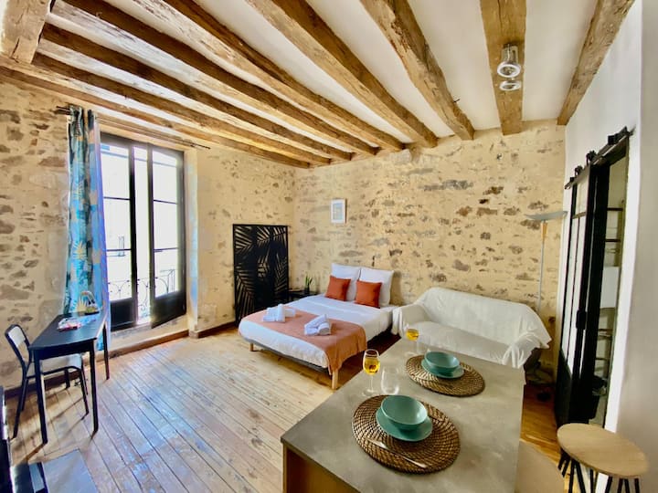 Le Cosy-chic - Vieux Mans - Jacobins, Cathédrale - Le Mans