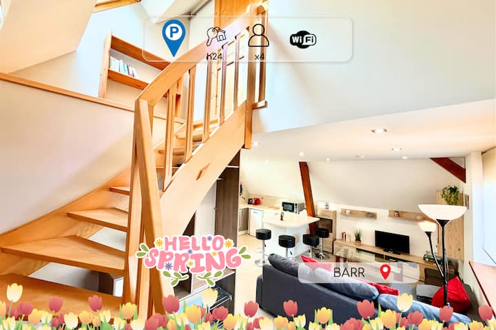 Escapade Du Vignoble- Barr - Barr