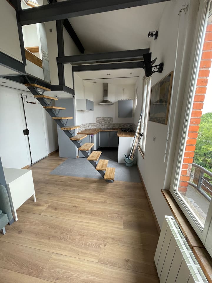 Appartement Type Loft Bagnolet - Romainville