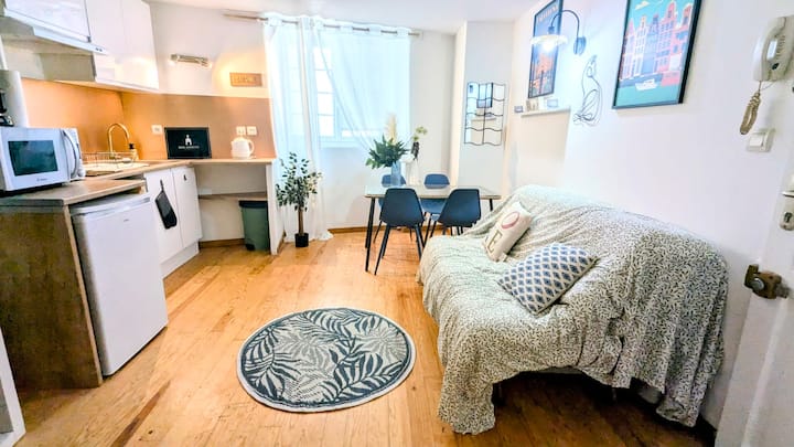 Cosy Eglantine Et Planta - Clémenceau Hypercentre - Pau, Francia