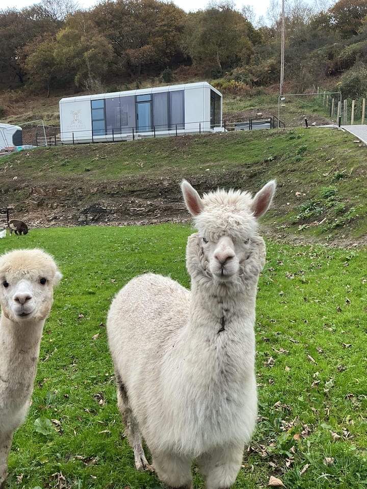 Galactic Getaways Mars - Prestatyn