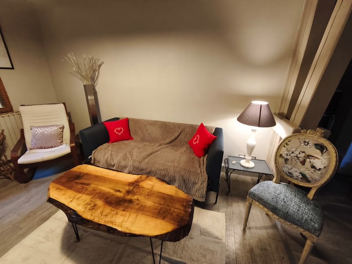 Charmant, Spacieux, Confortable + Grande Terrasse - La Bresse