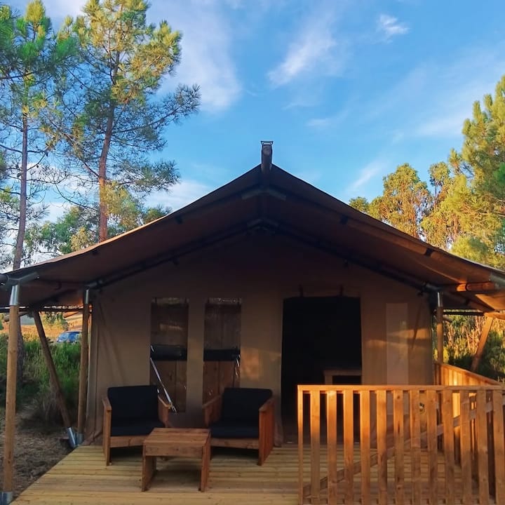 Vlinder - Torres Vedras