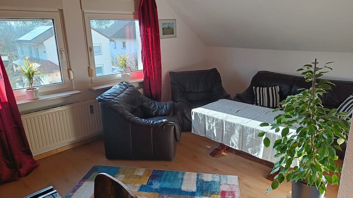 Schöne Helle Wohnung Zum Wohlfühlen. - Hattersheim am Main