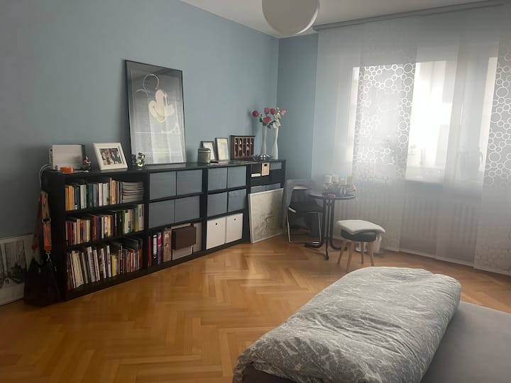 Gemütliches Zimmer Zwischen Bahnhof Und Uni - Mannheim