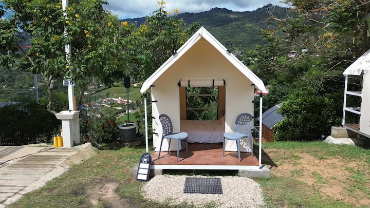 Tipi Sapo - Silvania