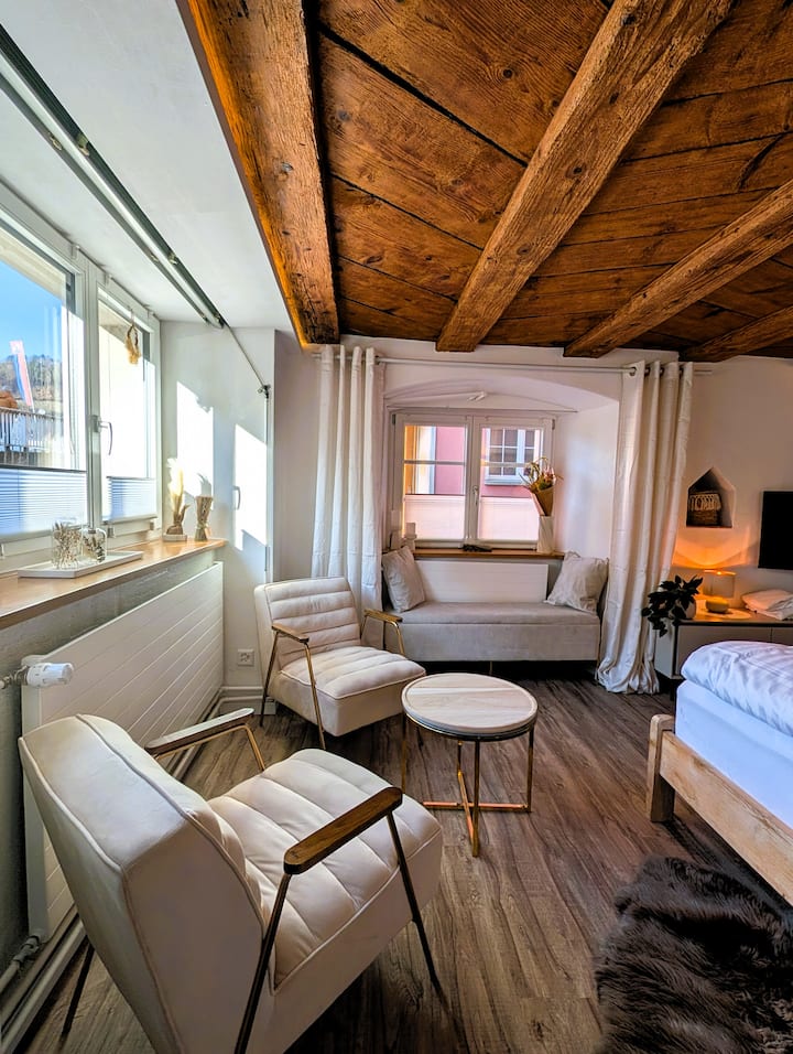 Altstadt-studio Am Rhein | Parkplatz | E-bike-safe - Canton de Schaffhouse