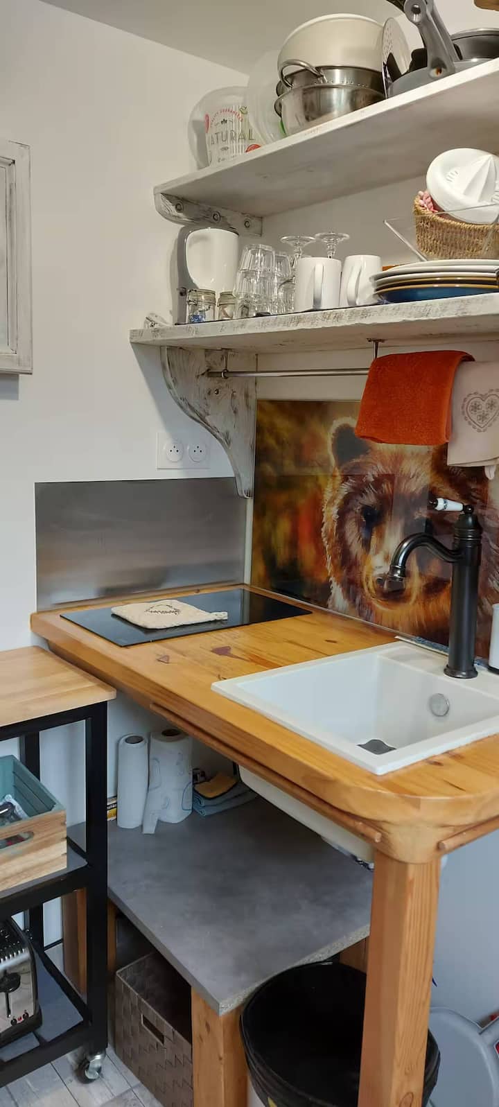 Studio Alpes-sauna Privé-piscine-vélo-rando-lacs - Albertville