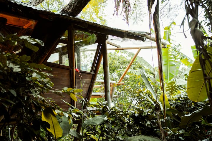 Motmot Tree House - Guatemala