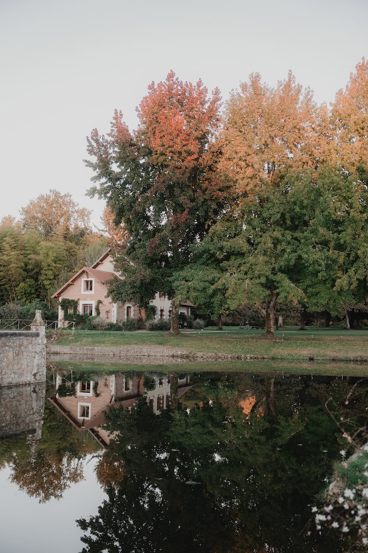 Villa Des Pins, Dans Parc 10ha Et Piscine - Mont-de-Marsan