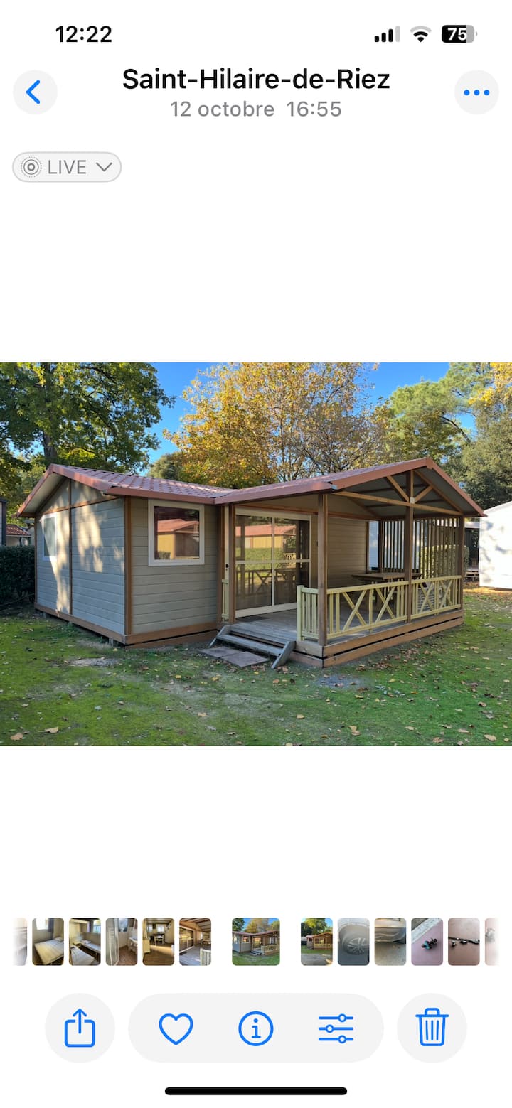 Chalet Dans Un Camping 4 éToiles - Saint-Jean-de-Monts