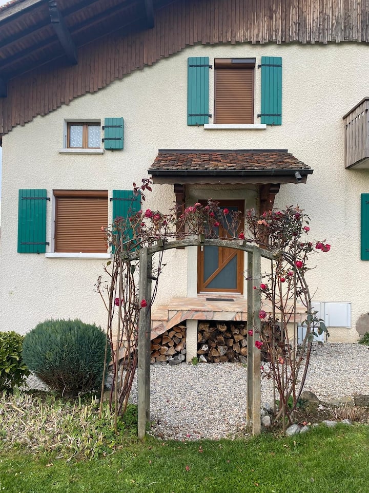 Maison En Haute-savoie Au Pied Des Montagnes ! - Sciez