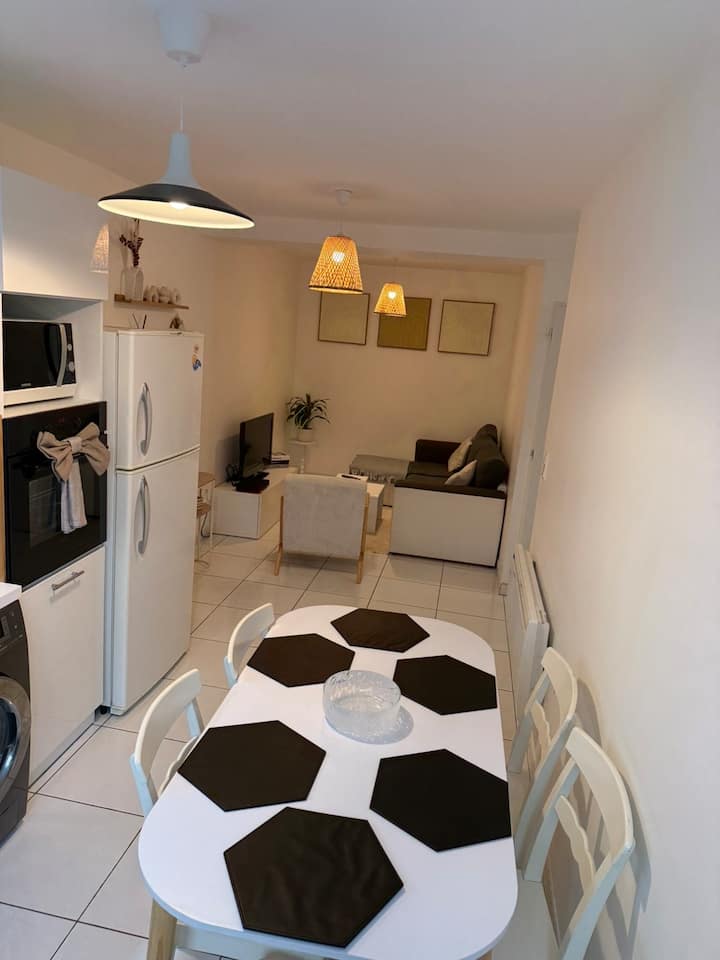 F3 Proche Aéroport Cdg/disney/paris 4 à 6 Pers - Tremblay-en-France