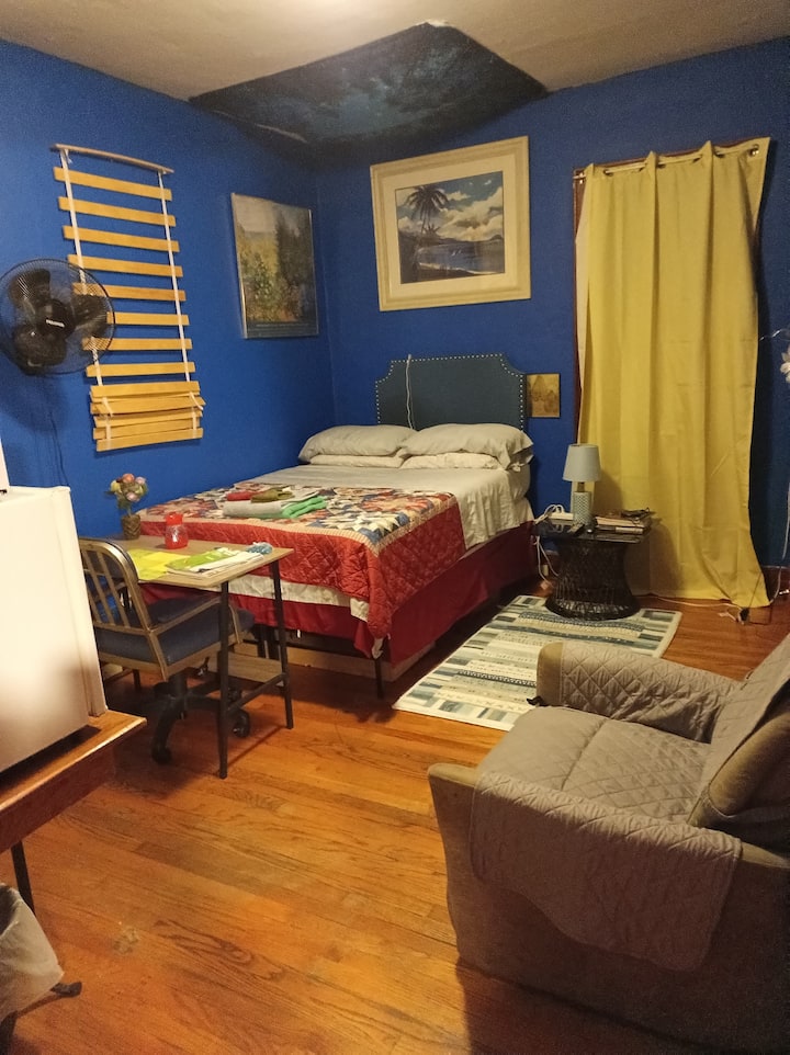 Albany Medical/dtwn Albany/colleges/blue Room H. - Albany, NY
