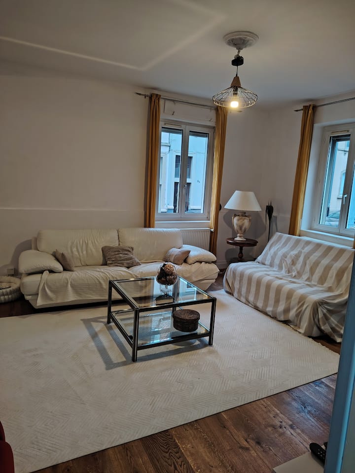 Appartement Strasbourg - Strassburg