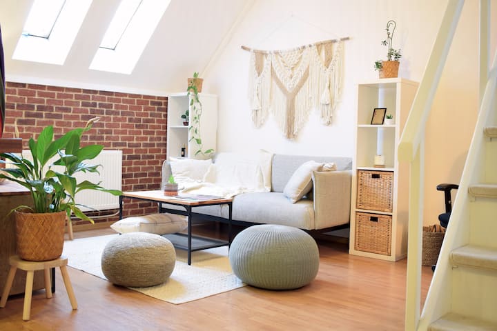 Cotton Studio - Oradea