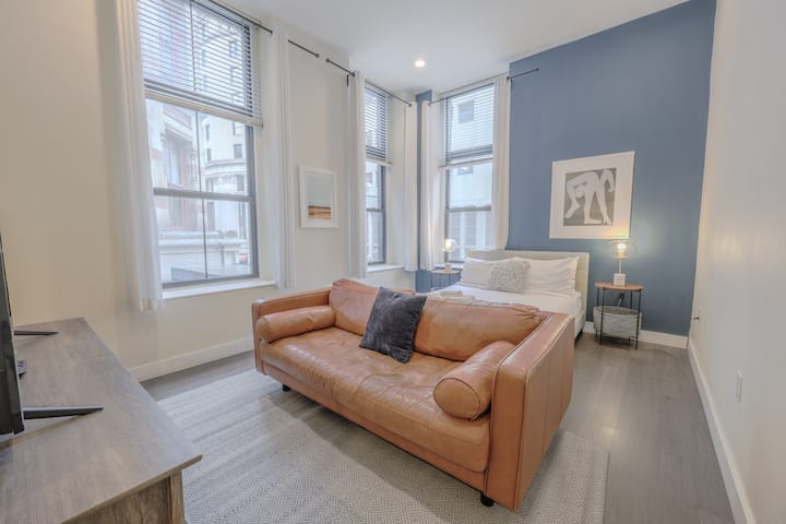 Pet Friendly Studio | Walk To Mgh - Boston, MA