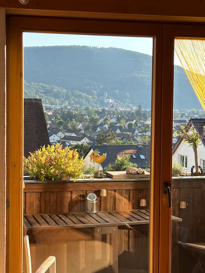 Lichtdurchflutete, Gemütliche, Fewo Mit Fernblick - Bürgstadt