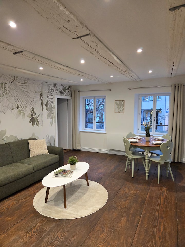 Appartement De Standing - Sauna - Obernai